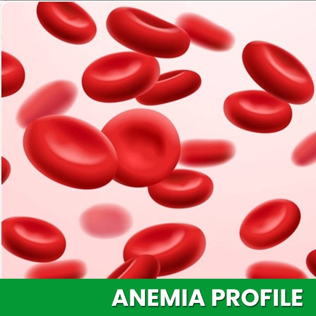 Test Packages - CITILAB